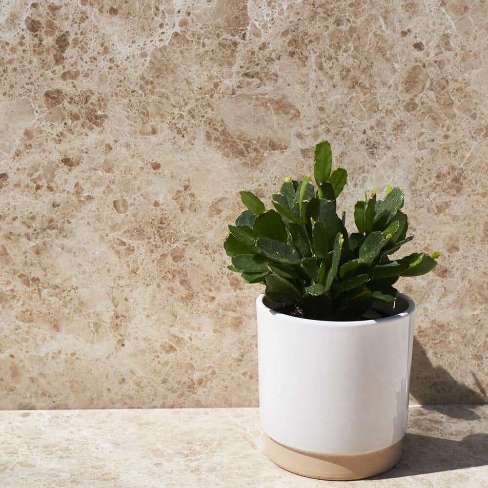 Stone Collection - Authentic Stone